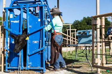 VaxMate Vaccine Cooler | PIERCE